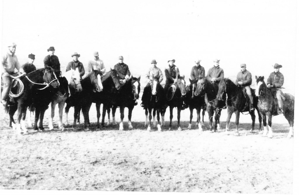 Durham Bison Ranch - macmeat.com